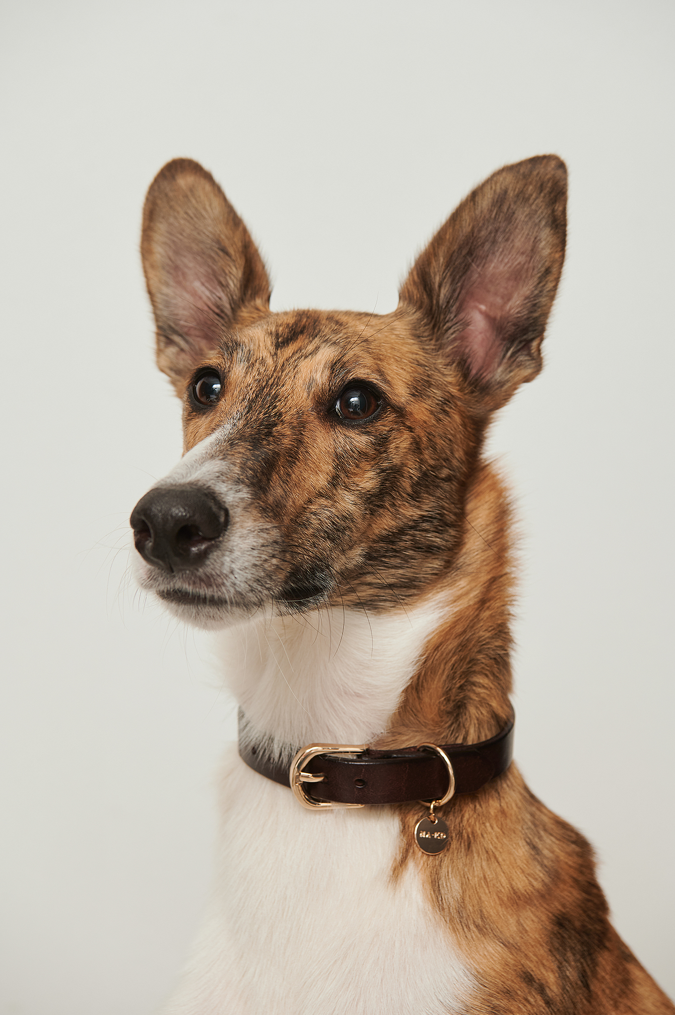 Basic Leather Dog Collar Brown | NA-KD
