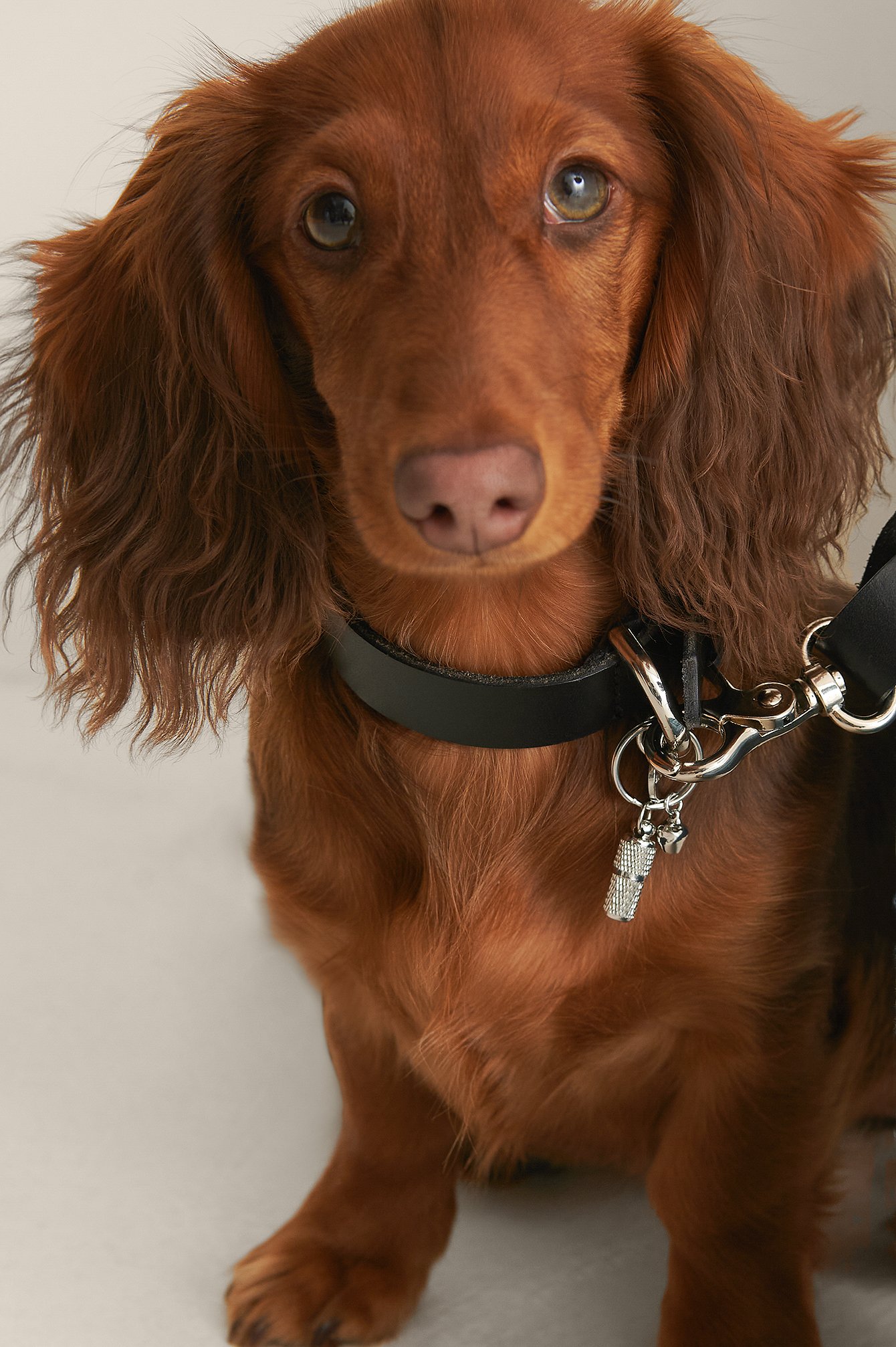 Dog Collar Address Pendant Silver | NA-KD